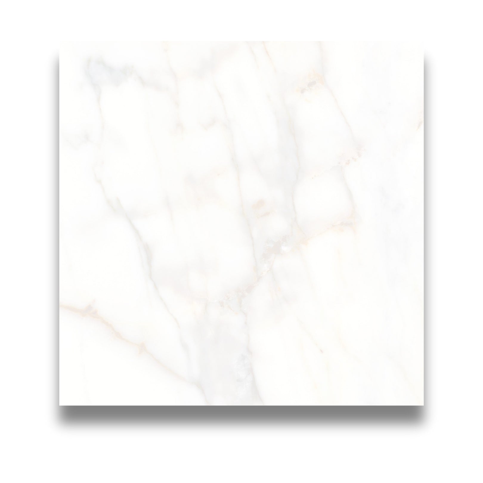 Calacatta Gold Polished 600x600mm – Tile Bazaar