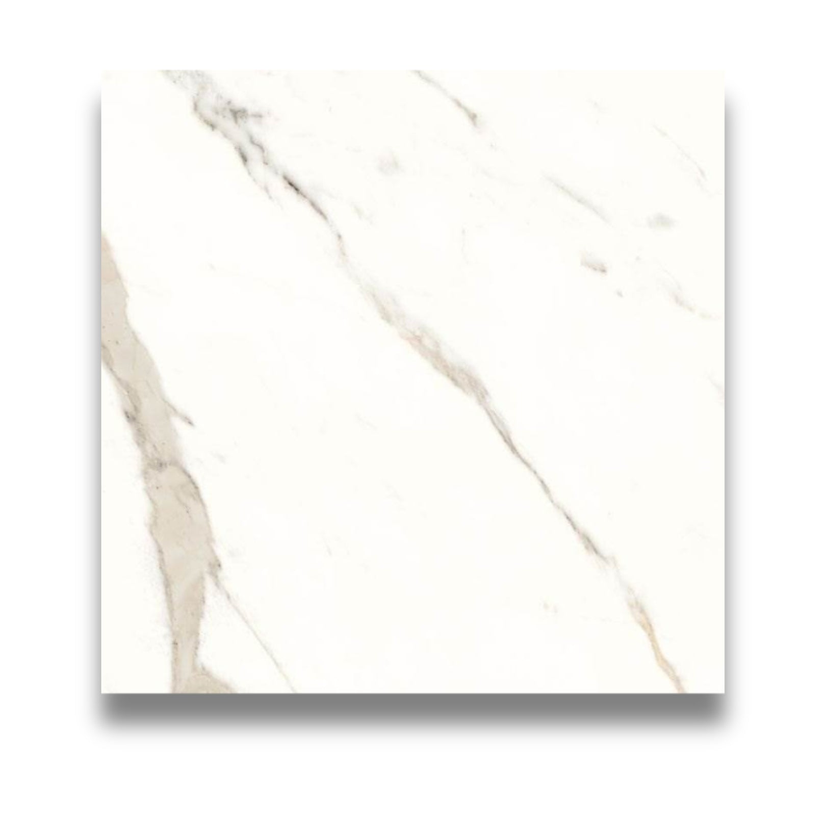 Trilogy Calacatta 600x600mm – Tile Bazaar