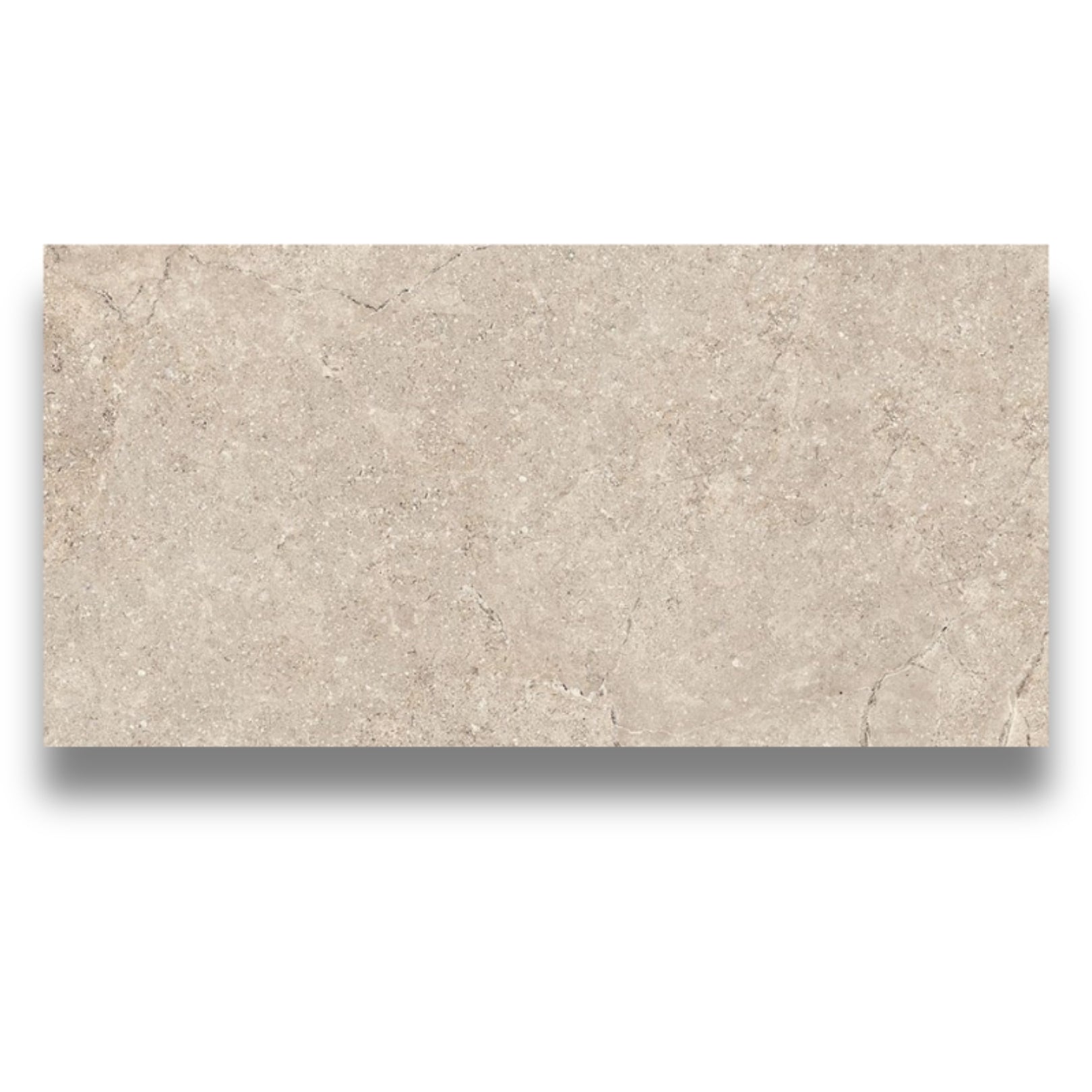 Holystone Beige Matt – Tile Bazaar