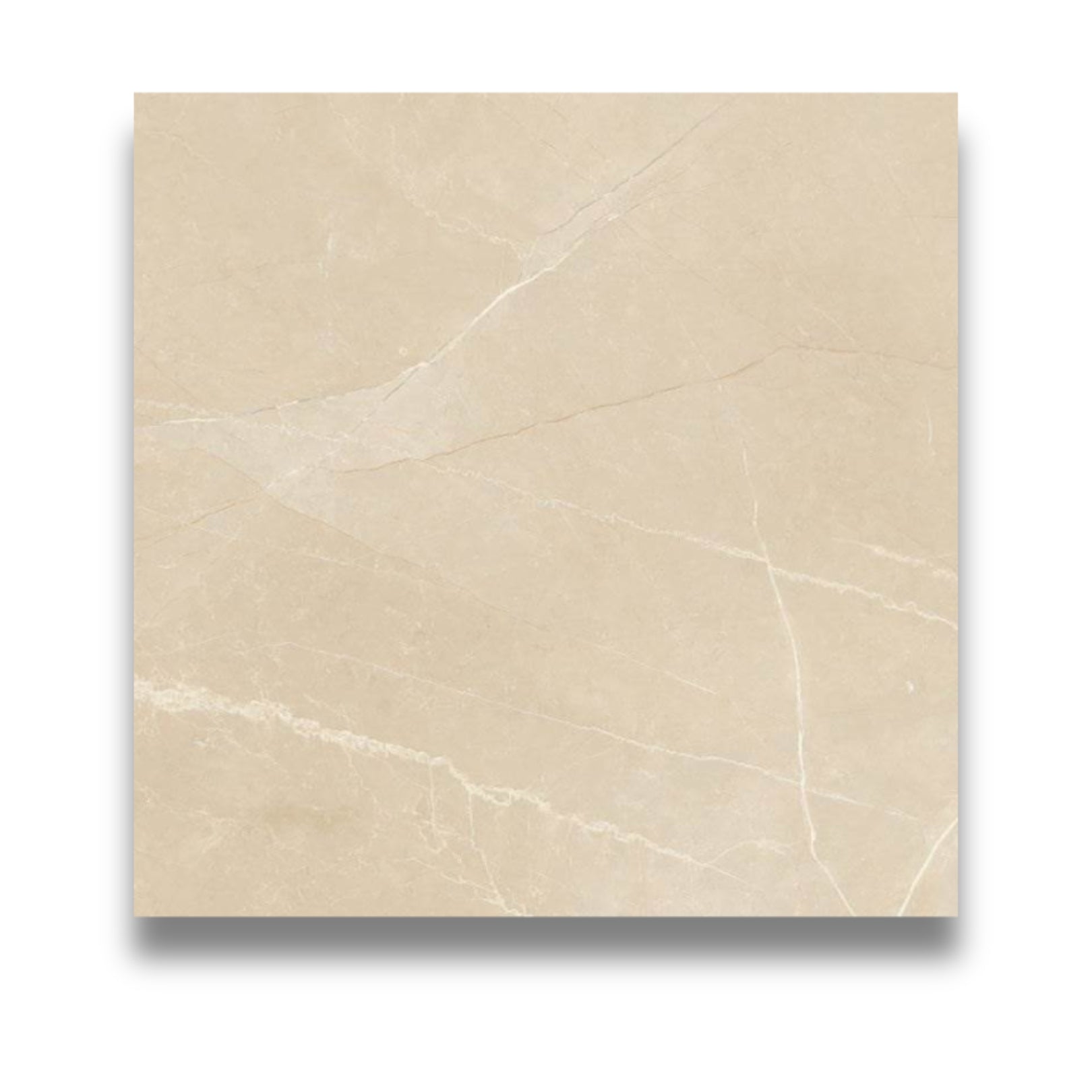 Trilogy Moon Ivory 600x600mm – Tile Bazaar